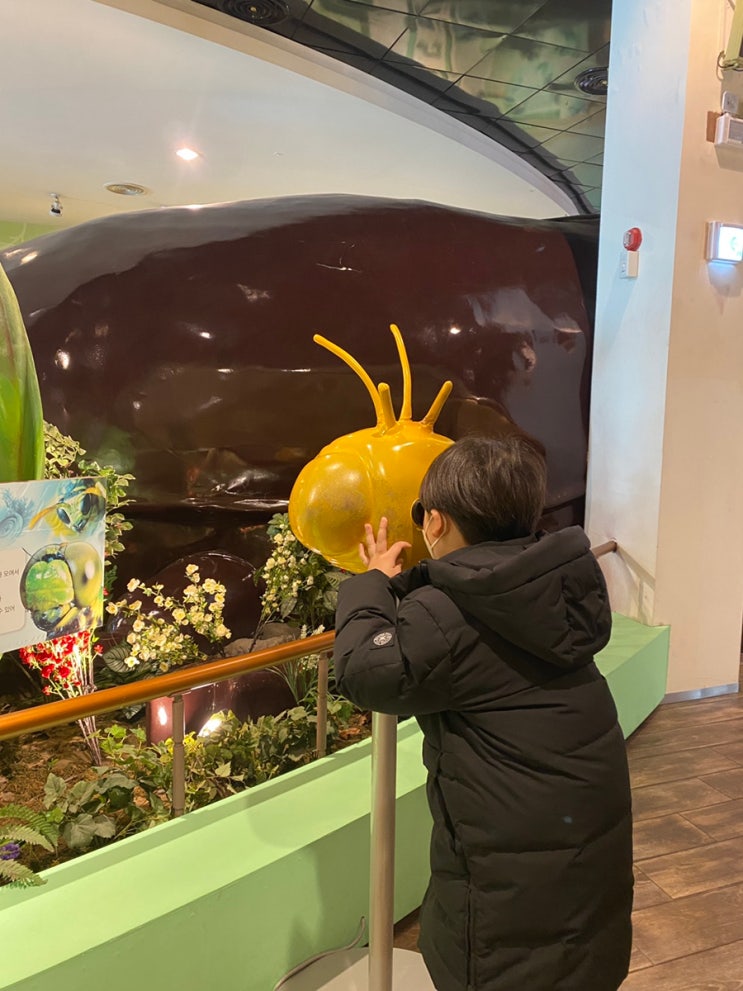 울산대공원 생태여행관 곤충생태관 식물원 부산 근교 아이와 가볼 만한 곳 네이버 블로그
