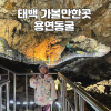 용연동굴 태백 가볼만한곳 네이버 블로그