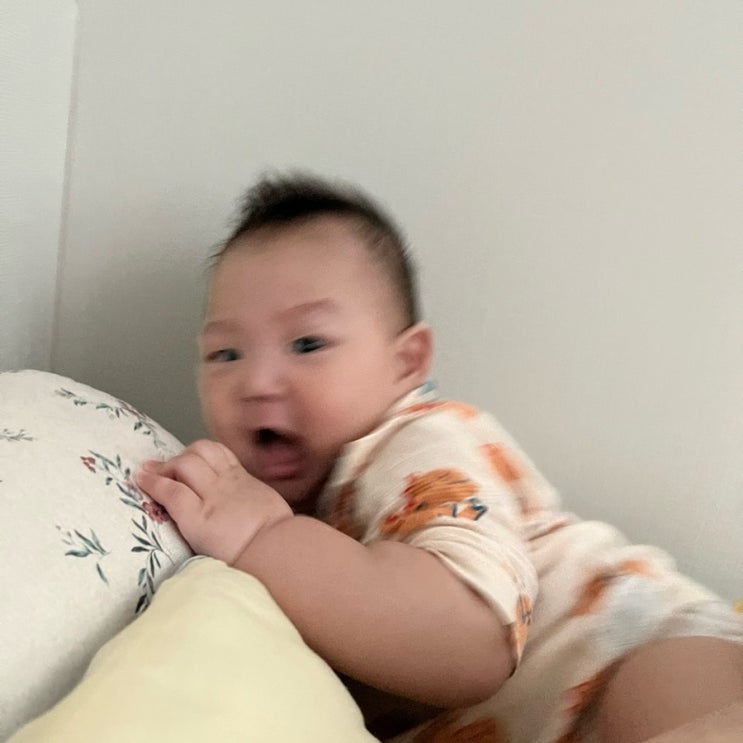 8개월 아기랑 사는 일상기록두두스토리 그림자극장 먹는일기 점심혼밥 좀 컸다 너 커블 쿨매트빠빠이 겨울이 오나