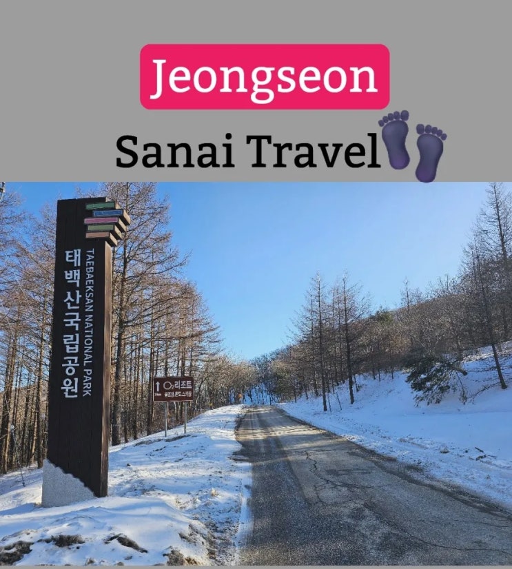 정선여행 태백산 국립공원 백대명산 함백산 등산 최단코스 만항재 겨울 초보자등산 네이버 블로그