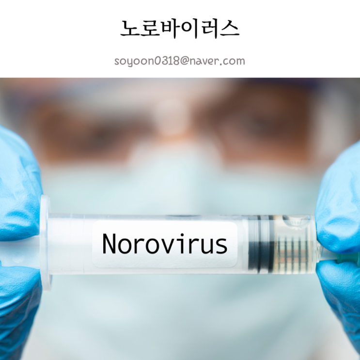 겨울 장염 노로바이러스 전염 증상 식중독에 좋은 음식 죽 누룽지 계란찜 네이버 블로그