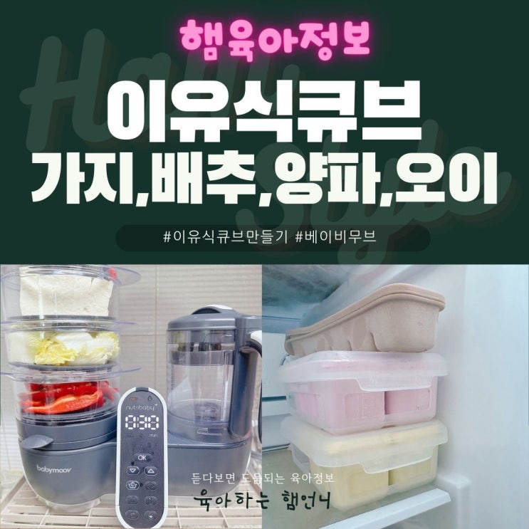 베이비무브 이유식마스터기 양파 가지 배추 오이 두부 파프리카 이유식야채큐브 만들기 네이버 블로그