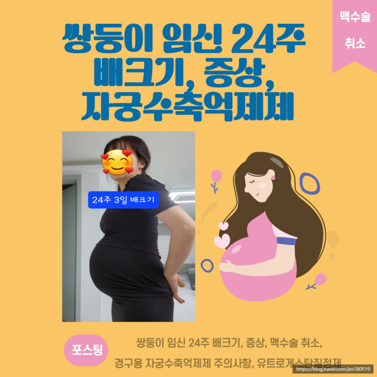 쌍둥이임신 24주 배크기 태동 증상 자궁경부길이 짧아짐 배뭉침 맥수술 취소 자궁수축억제제 주의사항 아달라트오로스