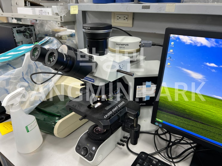 OLYMPUS DP70 (DP-BSW) Digital Cooled camera 올림푸스 DP70 디지털 냉각 카메라 : 네이버 블로그