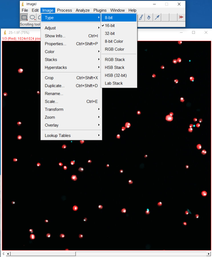 Image J 이용해서 Cell Count 하기 : 네이버 블로그