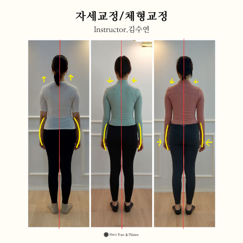 장산필라테스)결과로 증명하는 20대 자세교정 개인레슨 20회/40회 후기 : 네이버 블로그