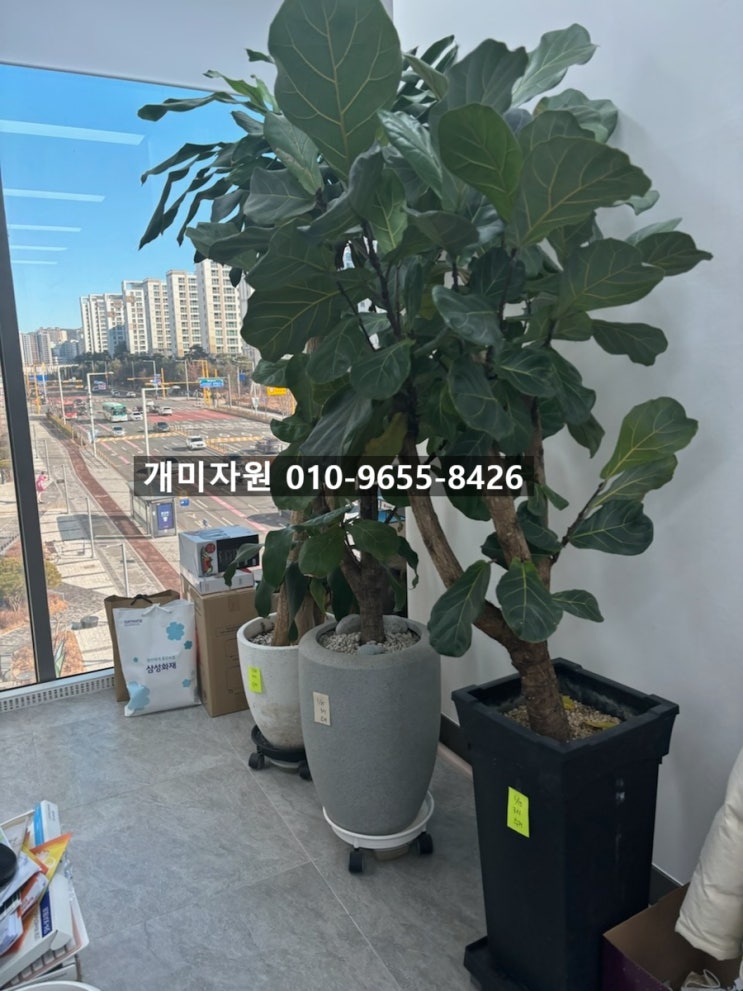 성남폐기물 업체 위례 사무실 화분수거 집기가구수거 사업장 개업화환 가정 폐기물 처리 네이버 블로그