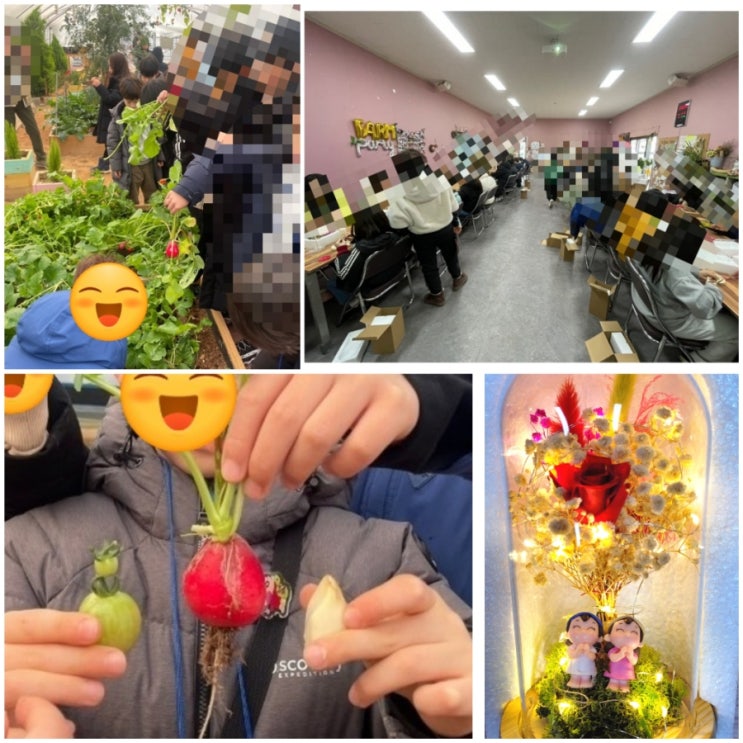 부안변산반도 생태탐방원 꽃다비팜 방문체험 프리저브드플라워 조명등만들기 교육농장 치유농장 네이버 블로그