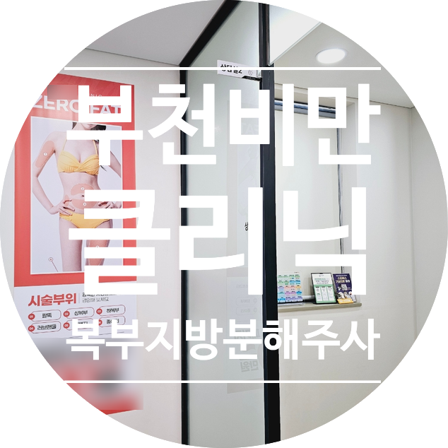 부천비만클리닉에서 뱃살지방분해주사 2주차 후기 체수분 채우자! : 네이버 블로그