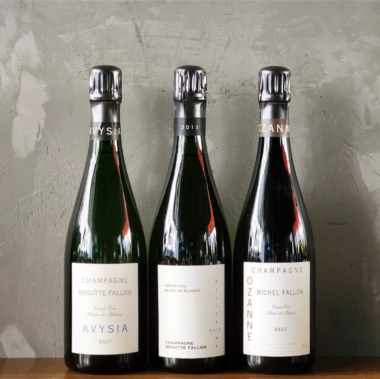 Michel Fallon, Ozanne 샹파뉴 입고안내 : 네이버 블로그