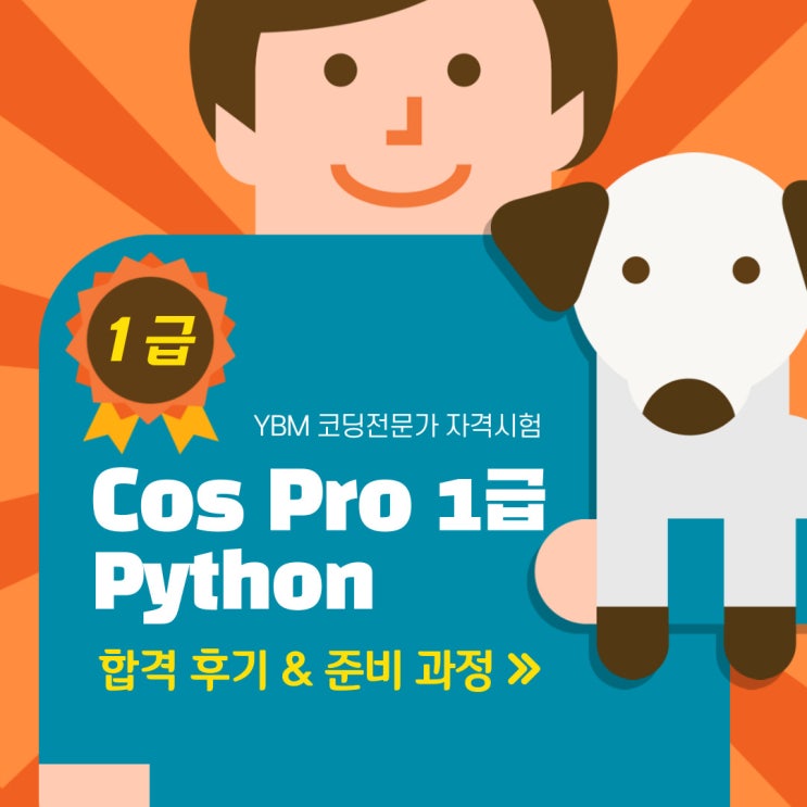 Cos Pro 1급 Python 합격 후기 & 2일간의 준비 과정 정리 : 네이버 블로그