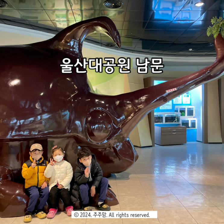 울산대공원 남문 아이와 가볼만한곳 정리 울산대공원 주차정보및 무료주차꿀팁 네이버 블로그