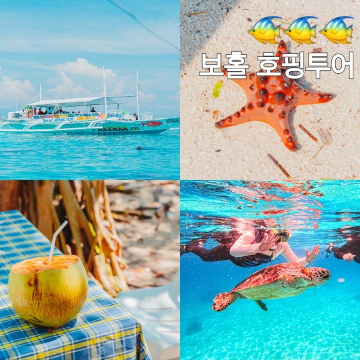 보홀 발리카삭 호핑 투어 원클릭 거북이 인생샷 가능 버진아일랜드 네이버 블로그