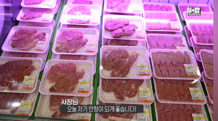 판교 한우 맛집 참다운정육식당 나도 히밥처럼 잡히는대로 마음껏 먹어보고 싶다 판교의 한우 맛집이라는 참다운정육식당
