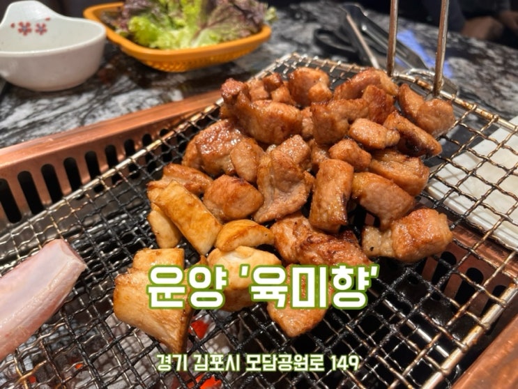 운양 맛집육미향 가족모임에 강추 구워주는 국내산 프리미엄 고기집 네이버 블로그