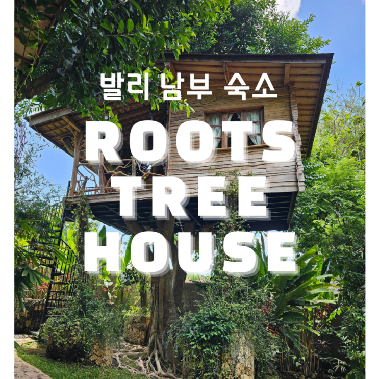 발리 남부 투어 숙소 나무위의 집 루츠 트리 하우스 Roots Tree House : 네이버 블로그