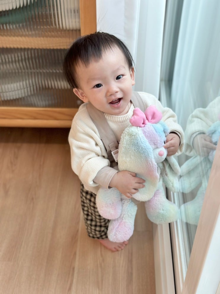 애착인형 필수템 베이비소풍 포그니 인형아기띠미아방지 스트랩 결합 네이버 블로그