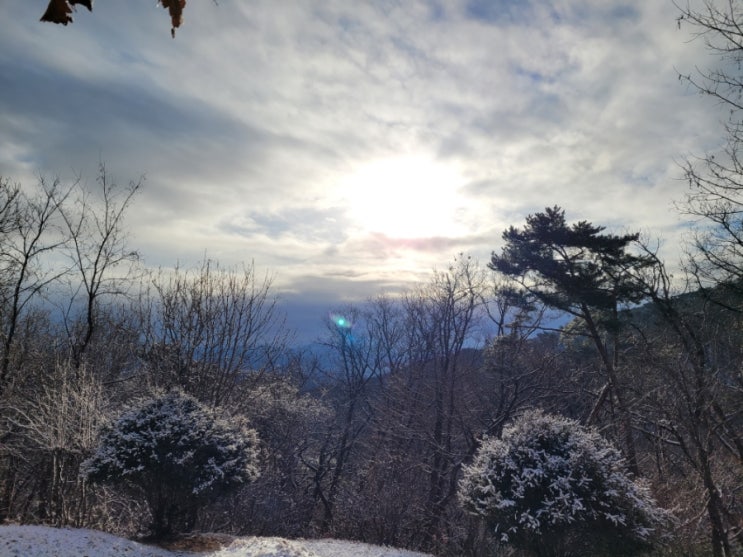 청계산 등산코스 및 주차정보 원터골입구 → 옥녀봉 → 돌문바위 → 매바위 → 매봉 네이버 블로그