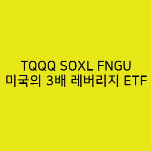 TQQQ SOXL FNGU,미국의 3배 레버리지 ETF 투자조언 : 네이버 블로그