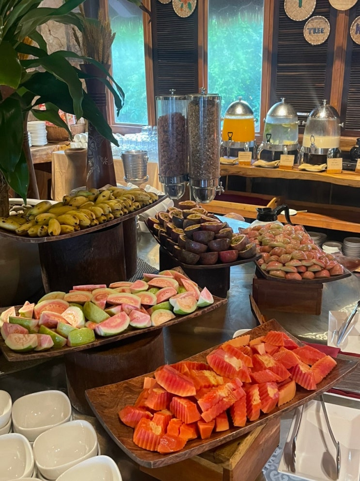 🇻🇳 베트남 푸꾸옥 여행 Day 2 3 오션베이 조식 호핑투어 빈펄리조트 수영장 그랜드월드 분수쇼 네이버 블로그