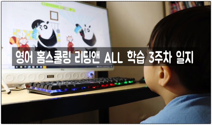 영어 홈스쿨링 리딩앤 All 학습 3주차 일지 네이버 블로그