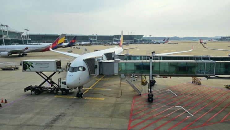 [아시아나항공 탑승기] 인천 ↔ 시애틀 아시아나항공OZ272/OZ271편 비즈니스 클래스 탑승기 : 네이버 블로그