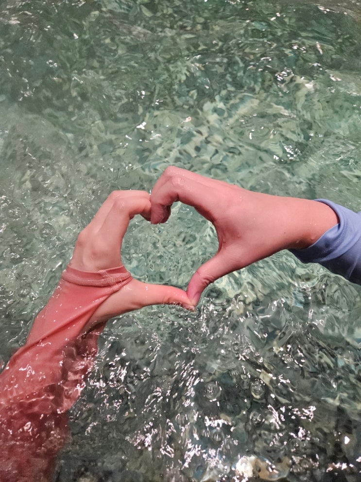 서울 실내데이트, 영등포 씨랄라 워터파크 사우나 주말 방문 후기 : 네이버 블로그