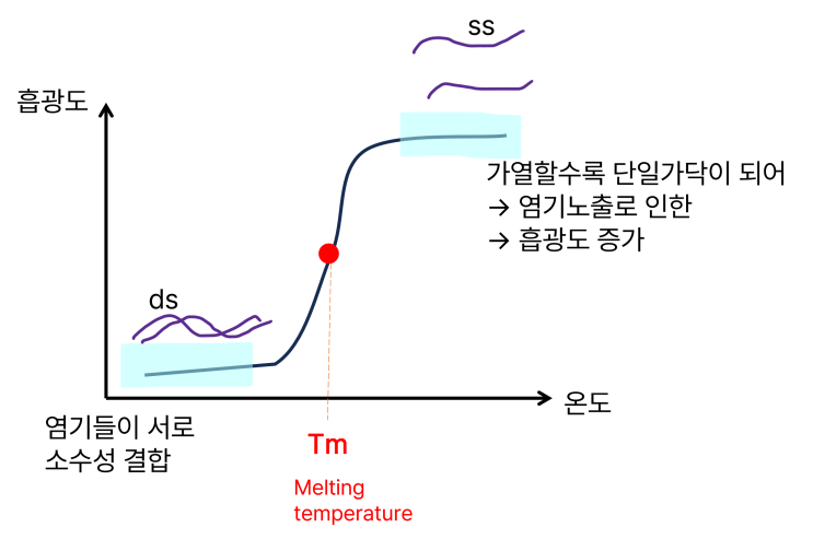 Melting Temperature (Tm) of DNA : 네이버 블로그