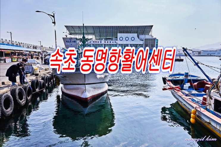 동해안 자연산 활어회를 즐길 수 있는 곳 속초 동명항 활어센터 네이버 블로그