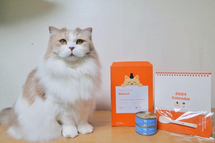 고양이 습식사료 조공 소피캣 슈레드 타입 건사료 교차 급여용 습식캔 후기 네이버 블로그