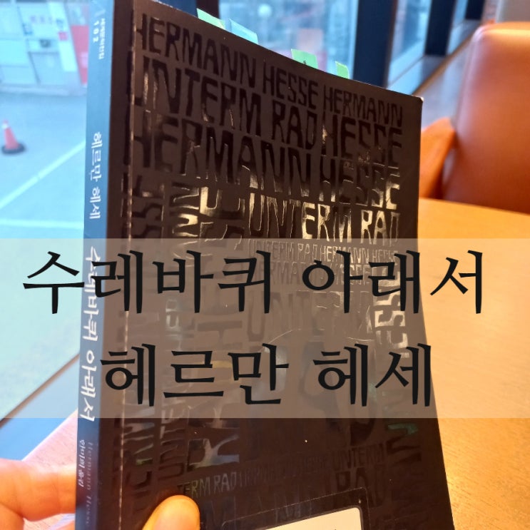 수레바퀴 아래서 헤르만 헤세 세계 고전 문학 소설 읽기 추천 네이버 블로그
