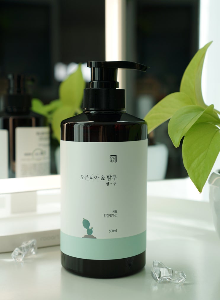 약산성 샴푸 추천 기름진 머리에 살림백서 오푼티아밤부 네이버 블로그