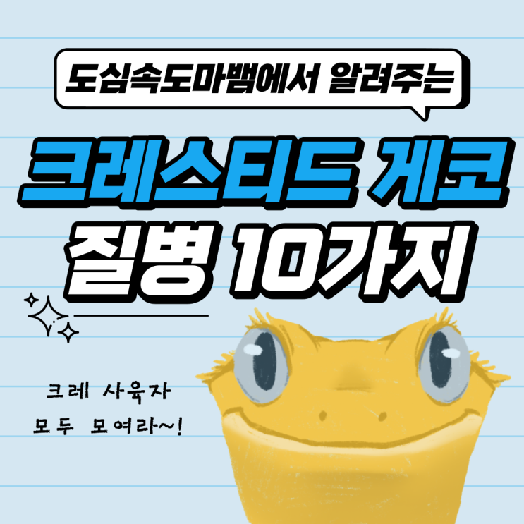 크레스티드 게코 질병 10가지 탈수 Mbd 플로피 테일 설사 등 원인과 증상 케어 방법까지~ 크레 질병 미리 알고