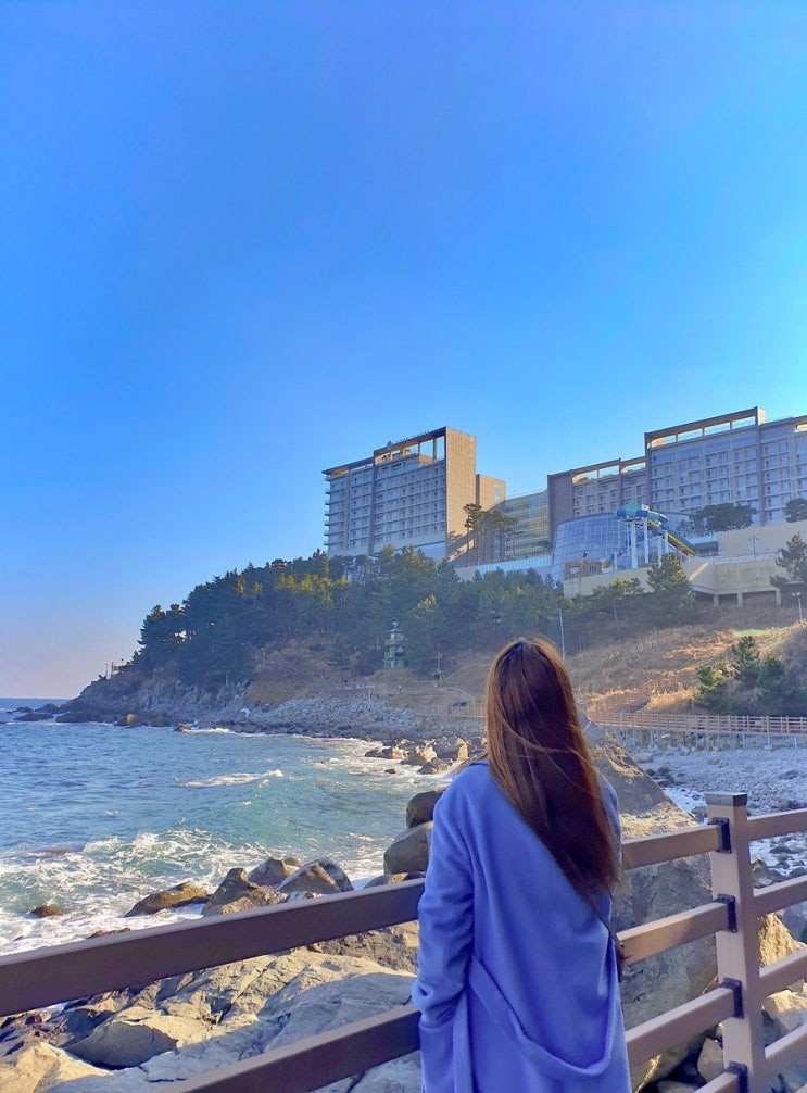 속초 롯데리조트 롯데호텔 산책로 속초외옹치바다향기로 둘레길 네이버 블로그
