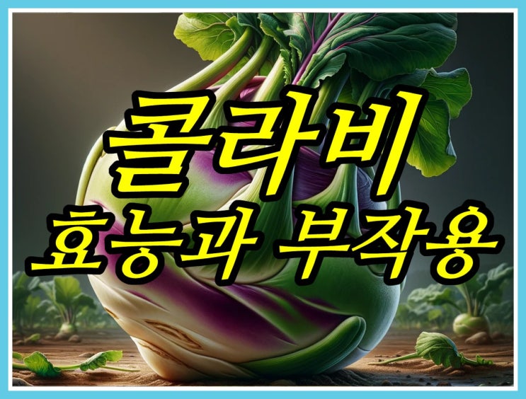 콜라비 효능 건강 도움 비타민 칼슘 성분 부작용 알고 섭취하세요 네이버 블로그