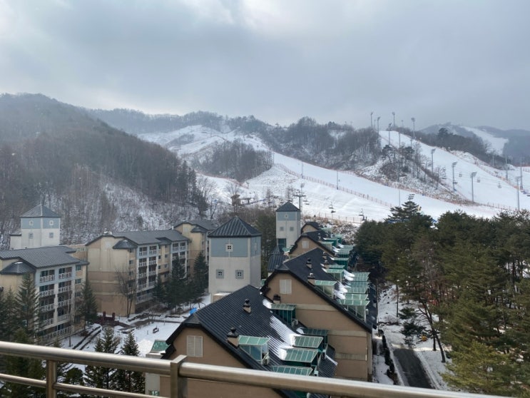 휘닉스 파크 콘도 스탠다드 20평형 객실, 조식 사실적인 후기 : 네이버 블로그