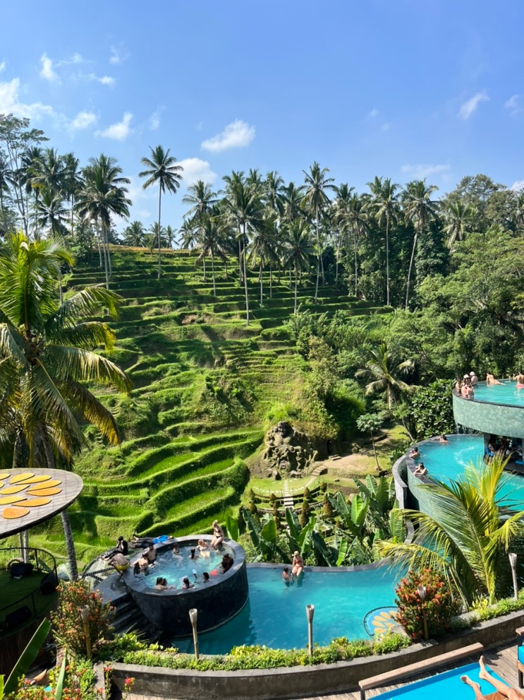 [인도네시아 발리] 여름휴가 우붓 체험편 - Cretya Ubud 크레띠야 우붓 뜨갈랑랑 알라스하룸 데이클럽 수영장 : 네이버 블로그