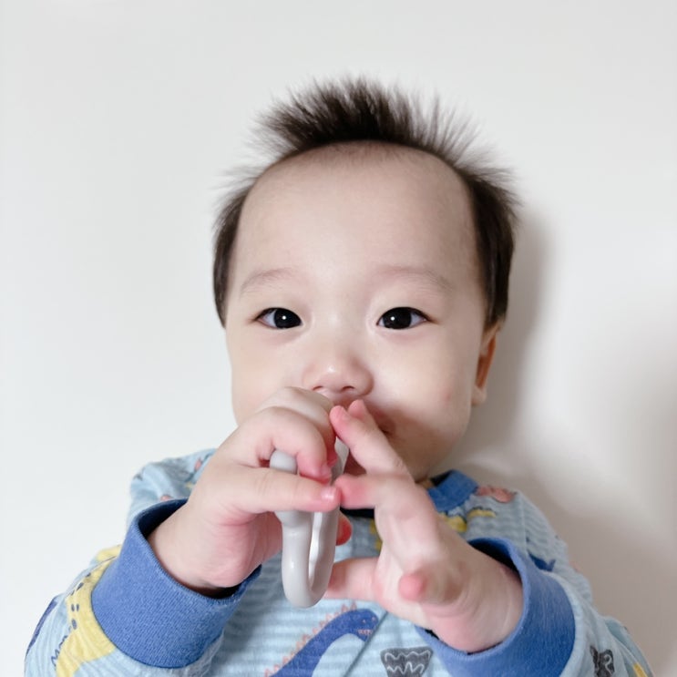 아기 양치 언제부터 방법 횟수 6개월 8개월 10개월 돌 아기 시기별 칫솔 네이버 블로그