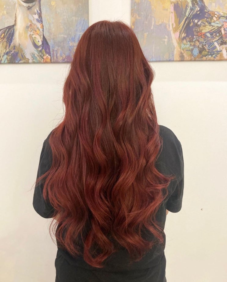 레드와인 염색 : 네이버 블로그