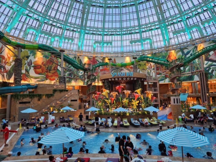 [인천 영종도] INSPIRE SPLASH BAY 인스파이어 리조트 수영장 스플래시베이 후기 : 네이버 블로그
