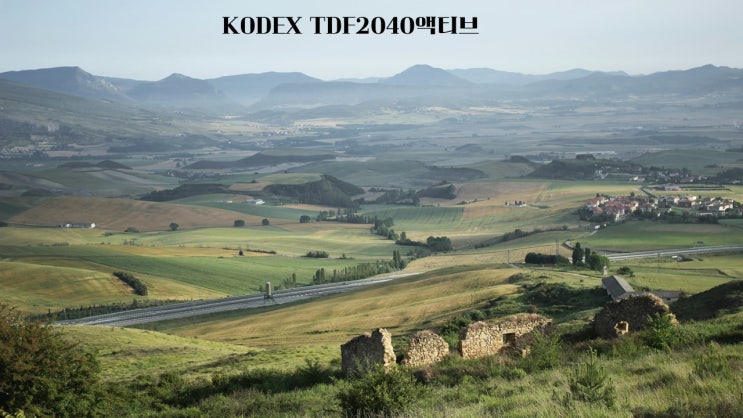 KODEX TDF2040액티브/433980 : 네이버 블로그