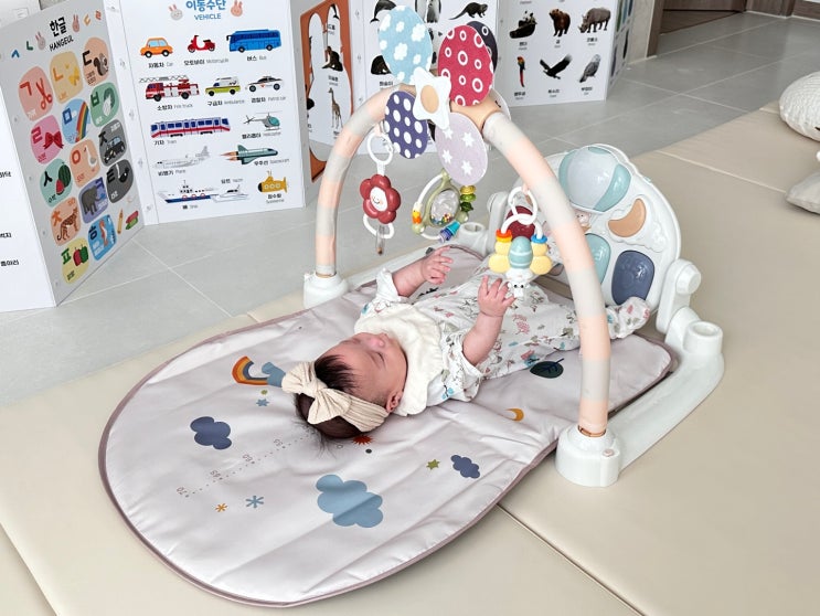 신생아장난감 추천 하베브릭스 아기체육관 : 네이버 블로그