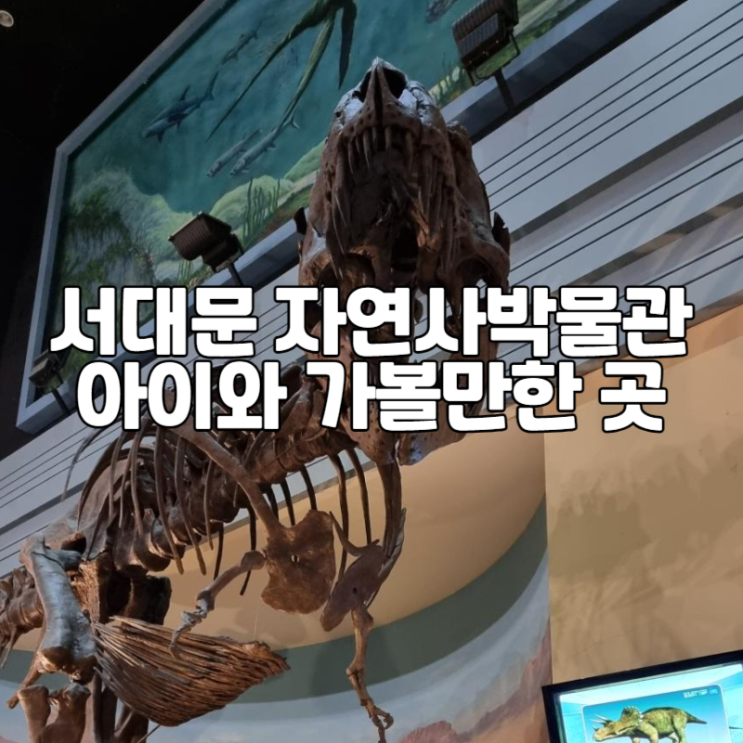 서대문 자연사박물관 아이와가볼만한곳 공룡볼 수 있는 박물관 네이버 블로그