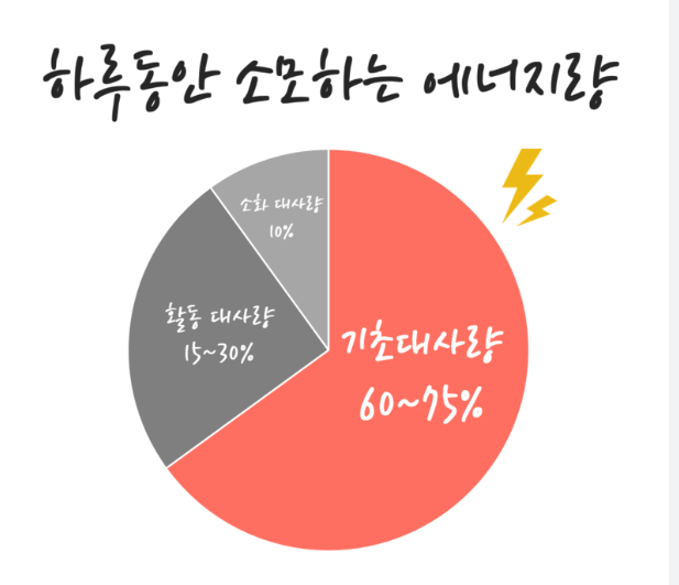 인천논현동pt 아리스 휘트니스와 함께 알아보는 남자 평균 기초대사량 정보 네이버 블로그
