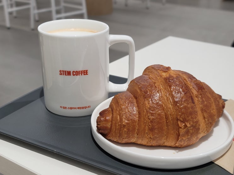 서울 강남역에서 모임 하기 좋은 카페, STEM COFFEE : 네이버 블로그