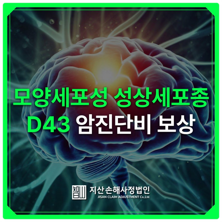 성상세포종 D43 C71 WHO 등급 분류와 암진단비 보상 이해하기 : 네이버 블로그