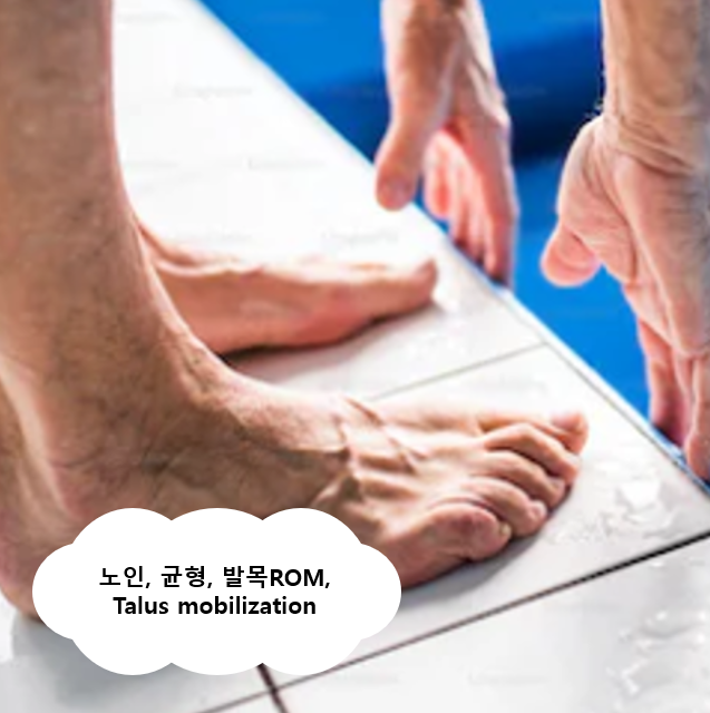 gait & posture - (5) 노인, 발목ROM, 균형, talus mobilization : 네이버 블로그