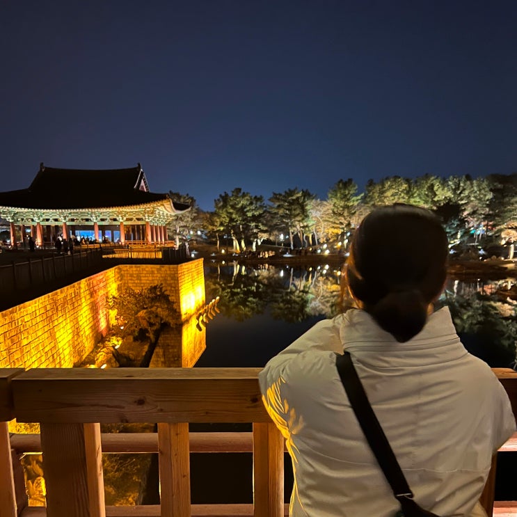 경북 경주 야경 필수 코스 첨성대 동궁과월지안압지 네이버 블로그