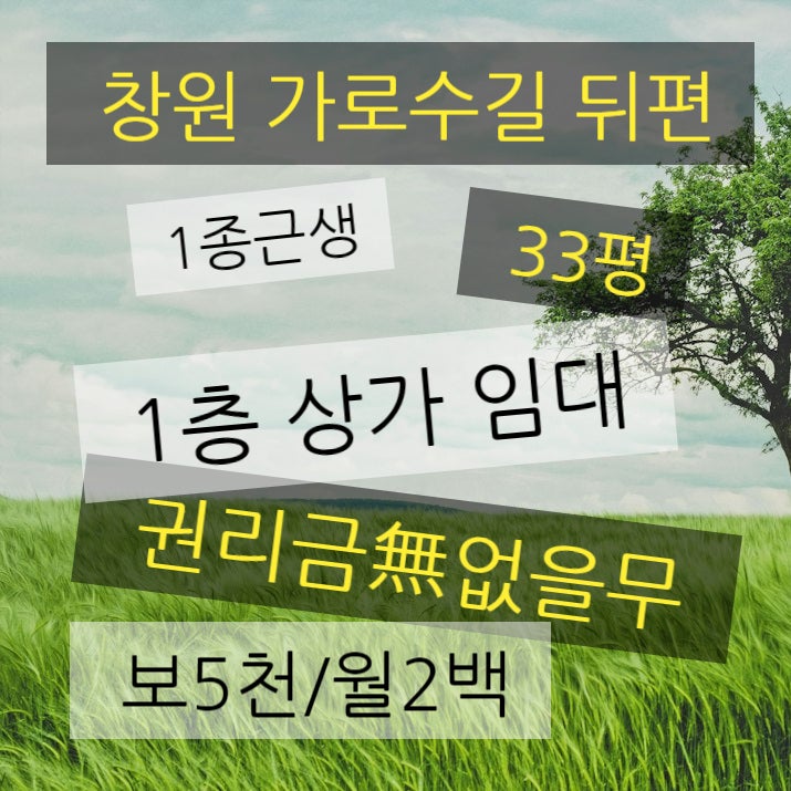 창원 가로수길 33평 1층 무권리 상가 임대 네이버 블로그