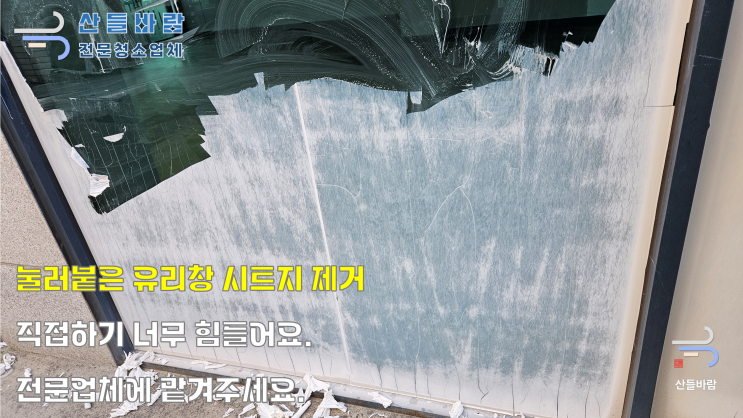 상가 유리 시트지 제거 눌러붙은 유리 시트지 제거 어떻게 해야할까 네이버 블로그